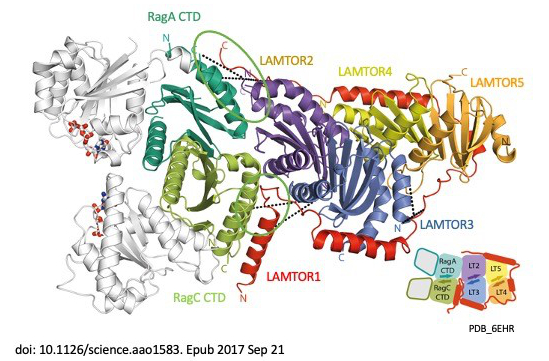 Cell Biology - Medizinische Universität Innsbruck