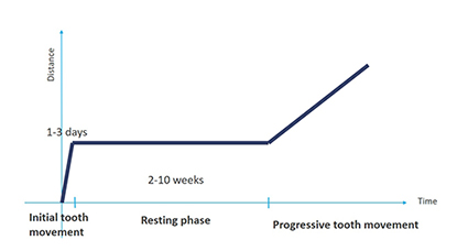 Orthodontics - Medizinische Universität Innsbruck
